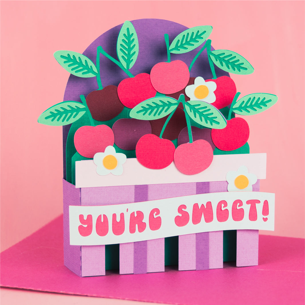 All Designs – Furrow and Feather SVG